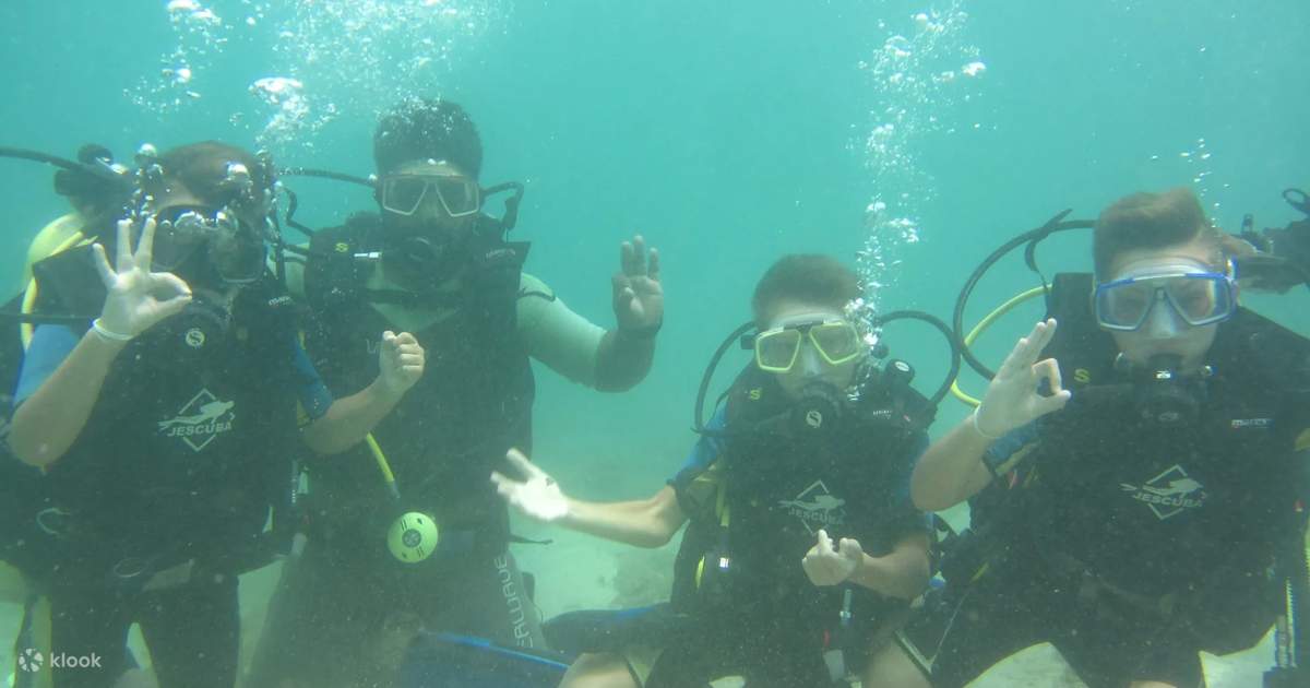 在斯里蘭卡的 Padi 五星級潛水度假村學習 Padi 開放水域潛水員 Klook香港